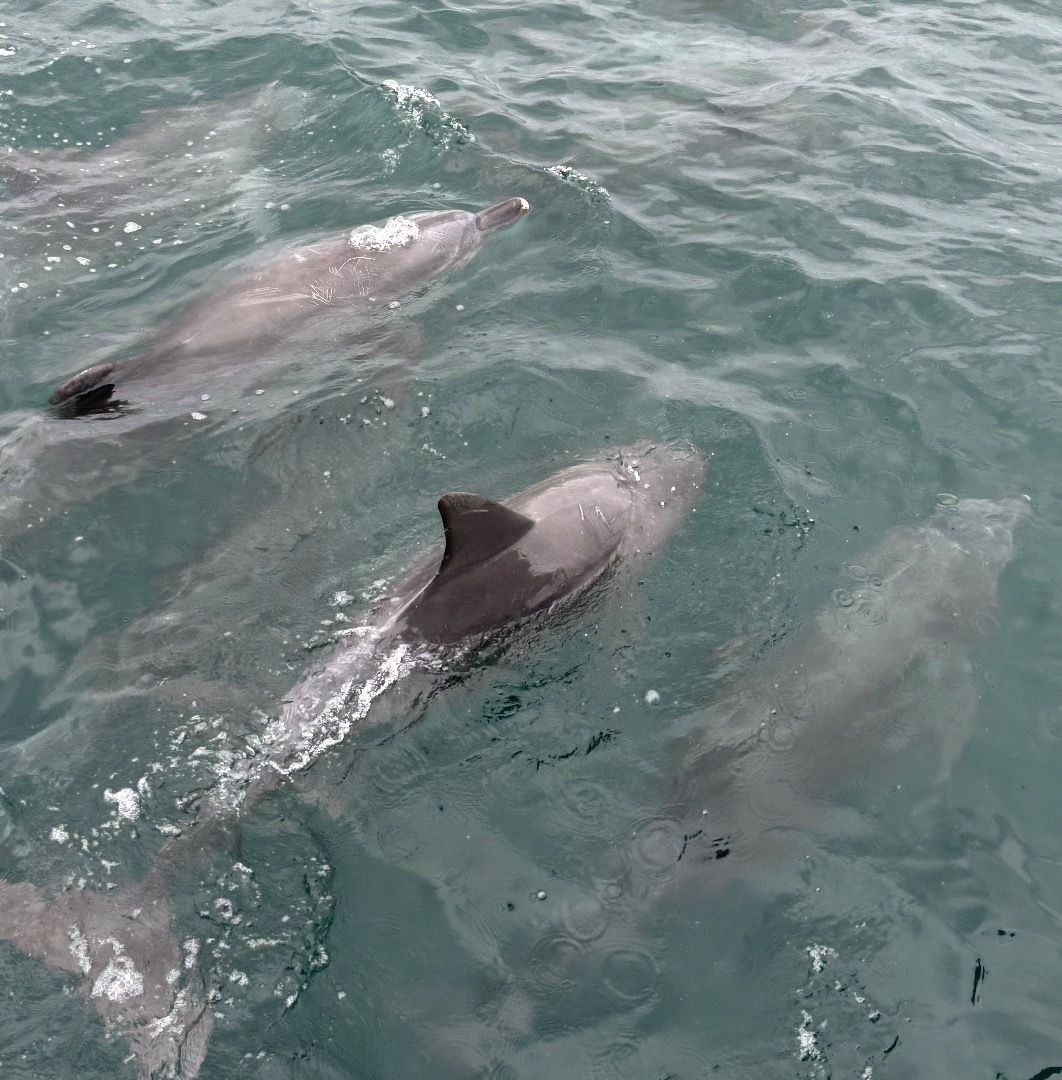 春休みの思い出: baa'sday